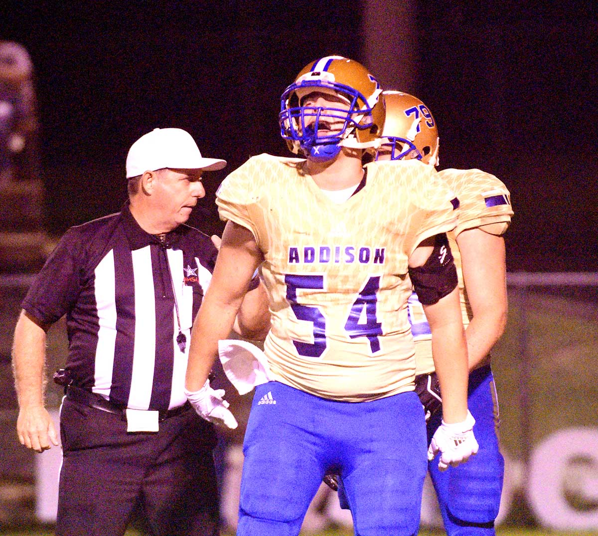 ALL-STATE FOOTBALL TEAM: Dixon, Green, Guthrie, Ray snag 1st-team ...