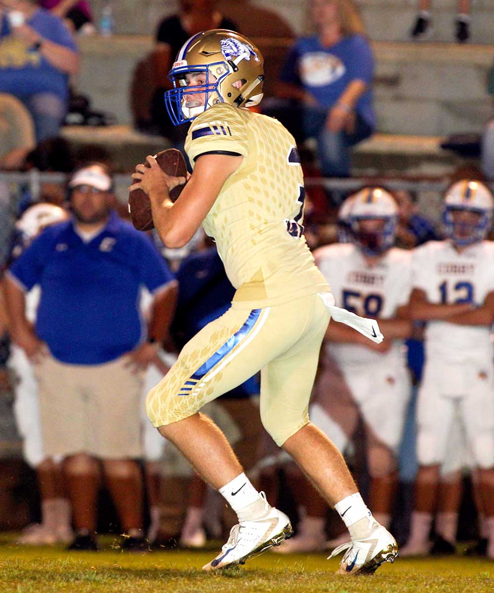 PREP ROUNDUP: Hanceville knocks off Sumiton Christian in OT; Addison ...