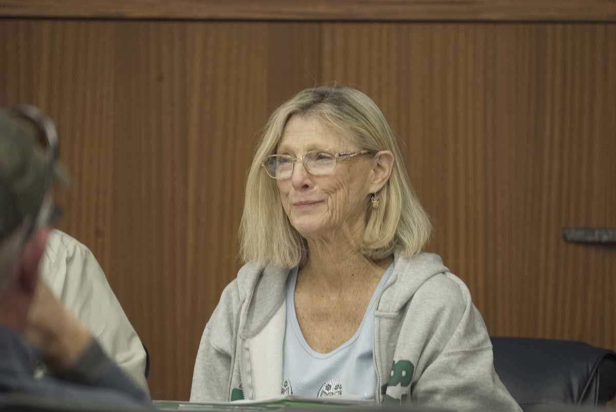 Tree Commission recaps inaugural Festival of Trees | The Cullman Times