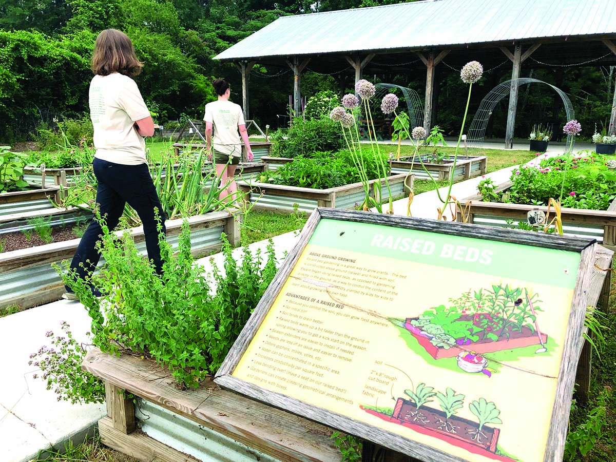 Taste of Cullman Grown food show to highlight local growers (and their ...