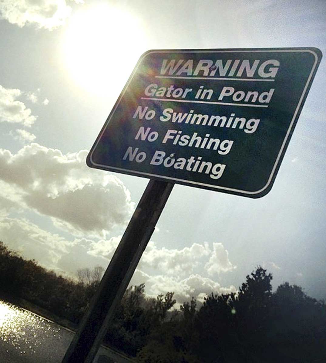 Alabama town mulls how to stop gator-feeding at city park | The Cullman ...