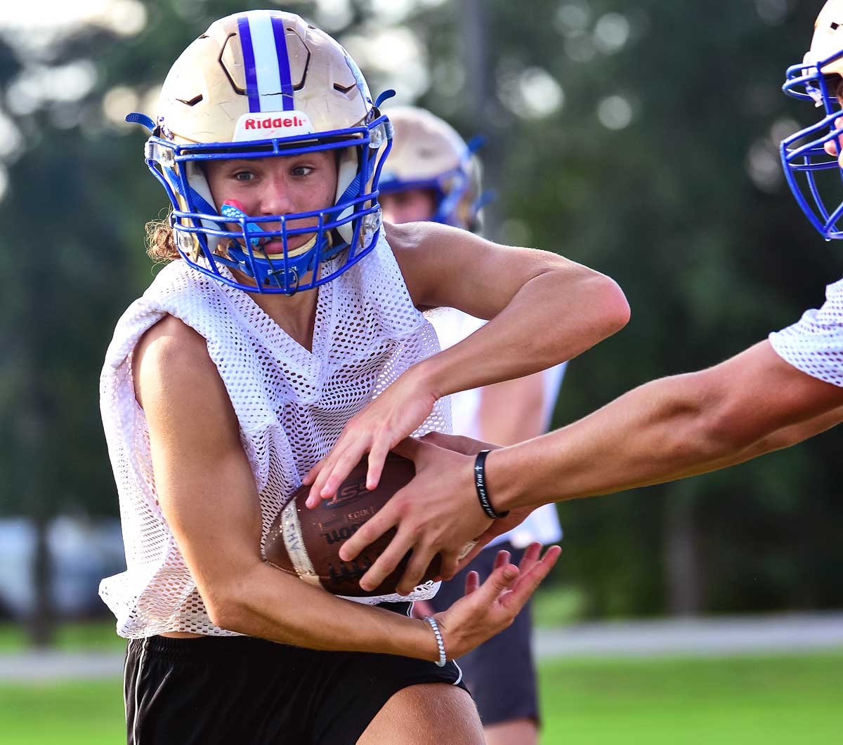 FALL CAMP BLITZ: A closer look at the 2024 Addison Bulldogs | The ...