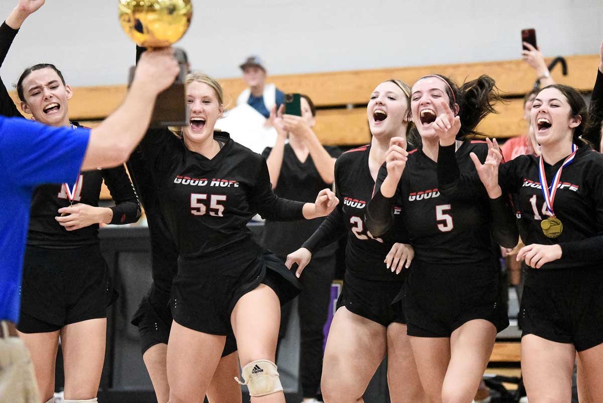 PREP VOLLEYBALL: County tournaments begin next week | The Cullman Times