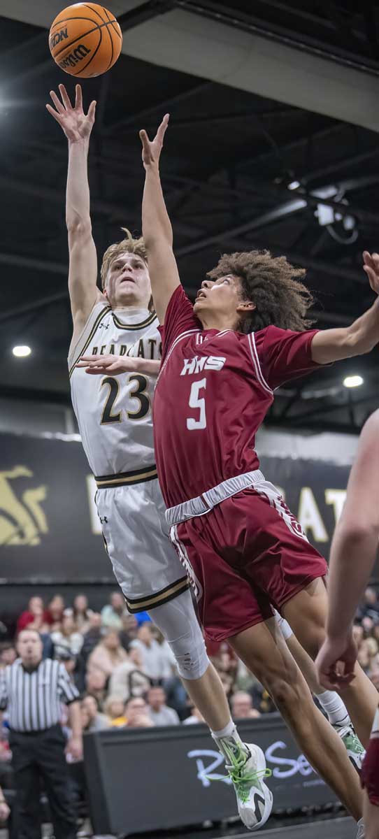 PREP BASKETBALL: Cullman topples Hartselle 54-42 for area tourney title ...