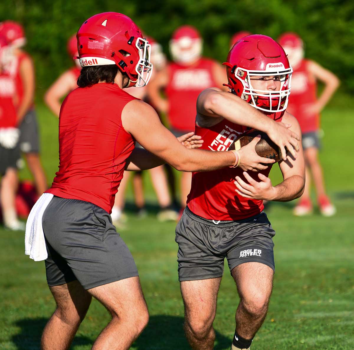 FALL CAMP BLITZ: A closer look at the 2024 Vinemont Eagles | The ...