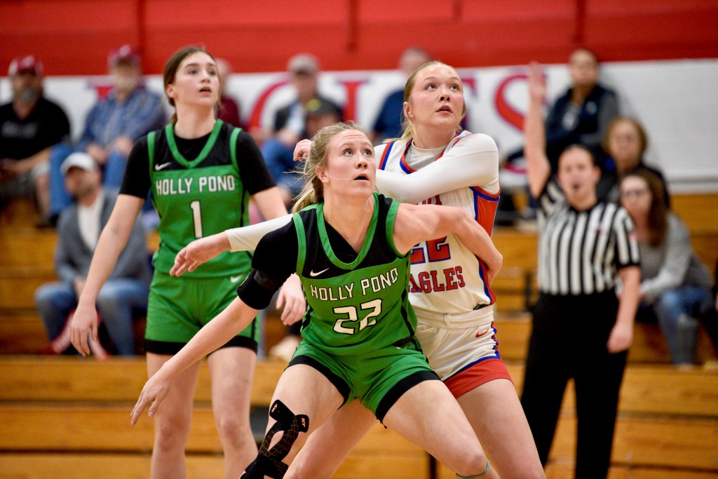 PREP ROUNDUP: Holly Pond smothers Vinemont for 54-42 win, area tournament title | The Cullman Times