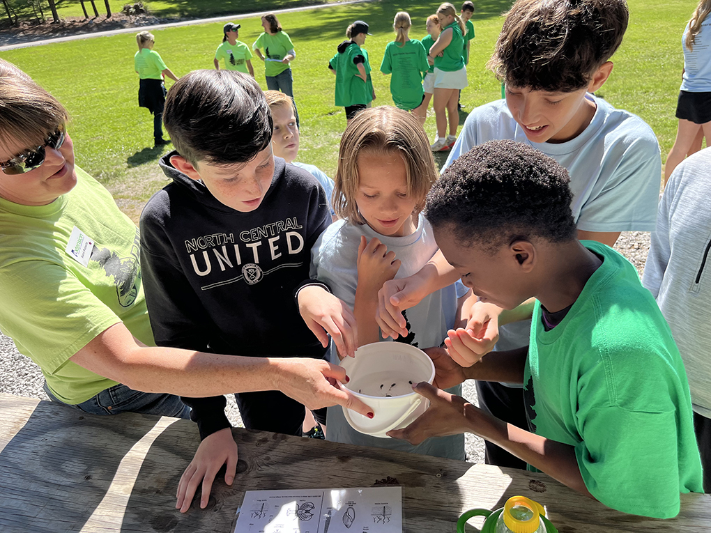 Sixth graders learn importance of natural resources during FAWN program ...